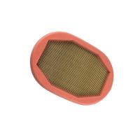 China Hydwell Air Filter P785965 2277449 2934053 AF26248 207.8x140.8x43.4mm for sale