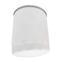 China Fuel Filter FF5300 P502143 FC-1007 34462-00300 83.5mm OD 103.5mm Height for 1998-2008 Vehicles for sale