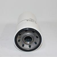 China Hydwell Truck Lube Oil Filter Element 3I1273 430143 P553411 Standard Size for Repair for sale