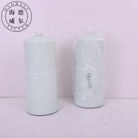 China Diesel Fuel Filter Water Separator FS1006 3089916 P552006 6060002599 4640732 5617911 FS552006 120x120x310mm for sale