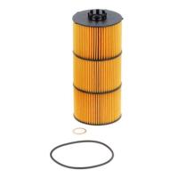 China Excavator Lube Oil Filter A4731800009 120x120x265mm 1kg Replacement for LF17511 HU12001Z for sale
