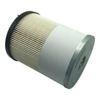 China Diesel Fuel Water Separator Filter A485007 PF46145 FS20083 for RHINO Pickup 10PCS MOQ for sale