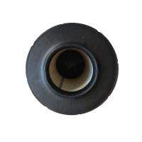 China Engine Air Filter Element AF25139 Made of Glassfiber for Replacement Requirement for sale