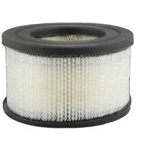 China Heavy Truck Engine Air Filter PA4166 5727220 4030100 AF25481 Element for Other Year for sale