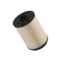 China Fuel Filter 114x176mm for Excavator 60307173 A14-01460 17213ee QX-C6008 for sale