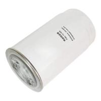 China Hydwell Engine Fuel Oil Filter 1000428205A 1000496519 for Construction Machinery for sale