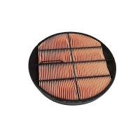 China Performance Air Filter P643314 2817246 339x339x40mm for Truck Engine Parts for sale