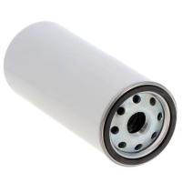 China Truck Fuel Filter FF254 7423044513 BF46233 Standard Size for Heavy Duty Trucks for sale