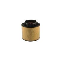China Freightliner Truck Parts Air Filter Element SA17443 with Performance Standards for sale
