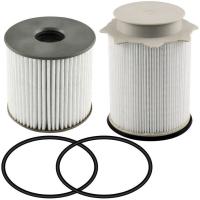 China Diesel Fuel Filter Kit 68197867AA 68157291AA for Dodge Ram 6.7L Cummins 2019-2021 for sale