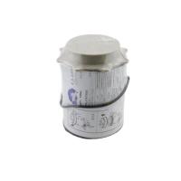 China Diesel Fuel Filter Kit 68197867AA 68157291AA for Dodge Ram 6.7L Cummins 2019-2021 for sale