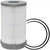China Iron Filter Paper Fuel Filter Water Separator FS20176 for Diesel Engine DD13 DD15 DD16 for sale