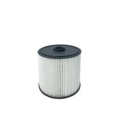 China Fuel Filter Element 68436631aa PF46152 PF46108 for Ram 2500 3500 4500 2019-2021 18.9L for sale