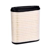 China Hydwell D371061 Honeycomb Air Filter Element for Truck Engine 250mm for sale