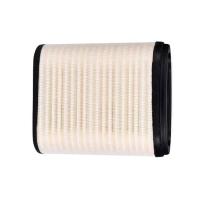 China Hydwell D371061 Honeycomb Air Filter Element for Truck Engine 250mm for sale