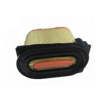China Cartridge Air Filter Element 5396920 AF4243 for Truck Diesel Engine Excavator Parts 200mm for sale