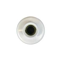 China Hydwell FS20089 Fuel Water Separator Filter for Tractor Excavator 100mm for sale