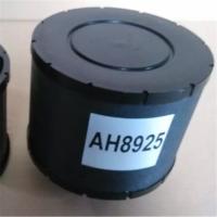 China Air Filter for Maverick X3 Max R Turbo Diesel Engine AH8925 C065003 85413458 for sale