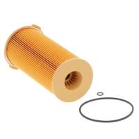 China Fuel Filter Element P552024 MD551 ADU172215 1346307 111x111x246mm for Truck Engine for sale