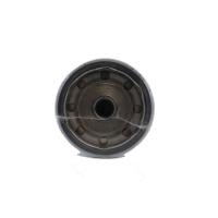 China P554470 Fuel Filter Element for Construction Machinery Affordable and Durable for sale
