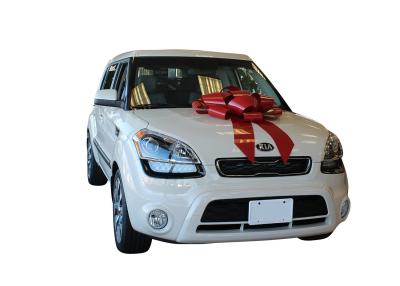 China 15“ large size wedding Pom Pom Pull bow thick PP or PET materials for decoration on a car for sale