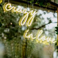 China Custom 110-240V LED Acrylic Signage Decorative Outdoor LED Neon Signs for sale