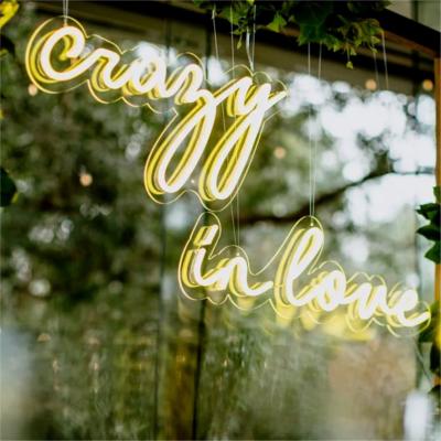 China Custom 110-240V LED Acrylic Signage Decorative Outdoor LED Neon Signs for sale