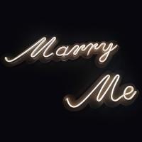China 12V Neon Letter Signs 8mm Acrylic Neon Lights For Wedding Decoration for sale