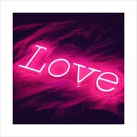 China Bar Wedding Neon Acrylic Letters AC110V Custom LED Neon Signs for sale