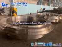 China Alloy Steel Forging Forged Flanges Professional Steel Forging Factory From China for sale