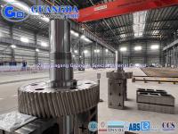China Precision Gear Shaft Assembly Shaft And Pinion Shaft Assembly Gear Manufacturing Fatory for sale
