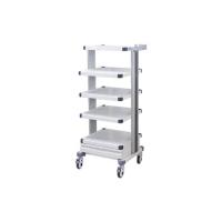China Endoscopy Medical Trolley with Adjustable Shelves – Optimized for Endoscopic Systems for sale