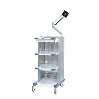 China Endoscopy Medical Trolley with Adjustable Shelves – Optimized for Endoscopic Systems for sale