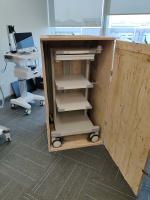 China Endoscopy Medical Trolley with Adjustable Shelves – Optimized for Endoscopic Systems for sale
