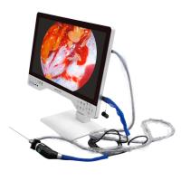 China Factory 15.6 Inches 4K Medical Endoscopy Camera System for Laparoscopy Urology for sale