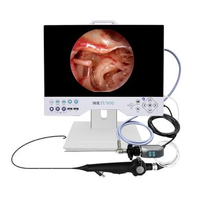 China TUYOU 15 Inches All-In-One Rigid & Flexible Endoscopy Camera for Uroscopy and ENT for sale
