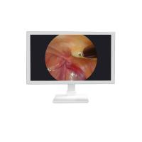 China FHD Medical Equipment 22 24 27 Inch Endoscope Camera Monitor Display Full HD Medical Monitor for sale
