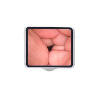China Portable Flexible Endoscope Video Camera For Small Animal Gastroscope And Colonoscope for sale