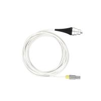 China Portable Flexible Endoscope Video Camera For Small Animal Gastroscope And Colonoscope for sale