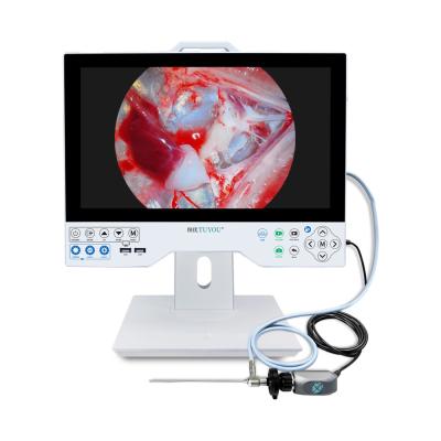 China Medical Endoscope 15.6 Inches Integrated Endoscopy Camera System With FHD Coupler Laparoscopic Urology for sale