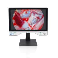 China 24in HD Endoscopy LED Light Source Endoscope Camera Recorder For Laparoscopy Cystoscope Surgeries for sale