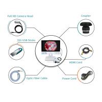 China Portable LCD Monitor All in One HD Endoscope Camera for ENT/Laparoscopy/Hysteroscopy/Urology for sale
