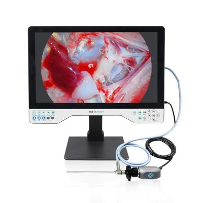 China 24in Endoscopy LED Light Source Endoscope Camera Recorder for High Definition Laparoscopy Cystoscope Surgeries for sale