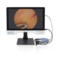 China 24in Endoscopy LED Light Source Endoscope Camera Recorder for High Definition Laparoscopy Cystoscope Surgeries for sale