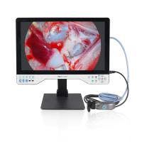 China 24in Endoscopy LED Light Source Endoscope Camera Recorder for High Definition Laparoscopy Cystoscope Surgeries for sale