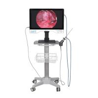 China FHD All In One Endoscope Camera System Built-in LED Light & Flexible Scope For Laparoscopy for sale