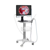 China FHD All In One Endoscope Camera System Built-in LED Light & Flexible Scope For Laparoscopy for sale