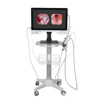 China TUYOU 24 Inch UHD All In One Rigid & Flexible Endoscopic Camera For Endometrial Surgery for sale