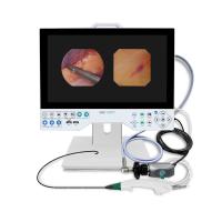 China 15 Inch FHD Camera System Compatible Flexible And Rigid Endoscope Professional Manufacturer for sale
