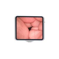 China TUYOU Flexible Endoscope With 3.5 Inch Screen, Reusable For Fiber Optic Bronchoscopy And Pet Health for sale